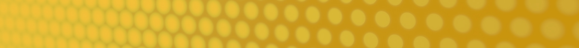 WCA Holds Winter Awards Ceremony | WCA Athletics